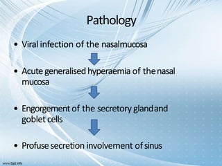 Allergic Rhinitis Pathophysiology Ppt