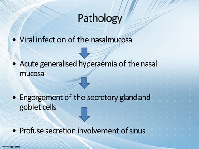 Rhinitis types | PPTX