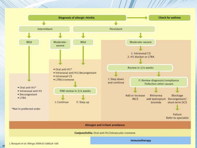 Rhinitis types