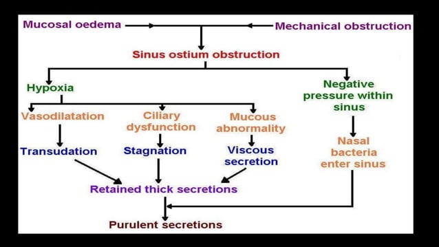 Rhinosinusitis- Definition, Clinical features, Diagnosis.pptx