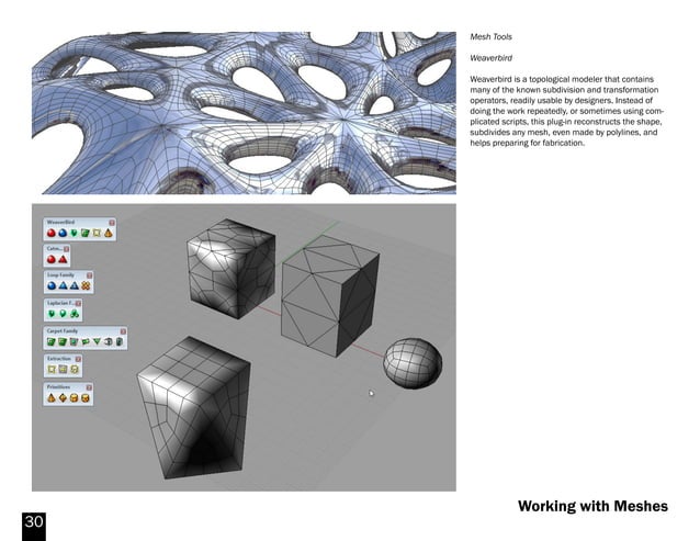 Rhino Working with Meshes | PPT