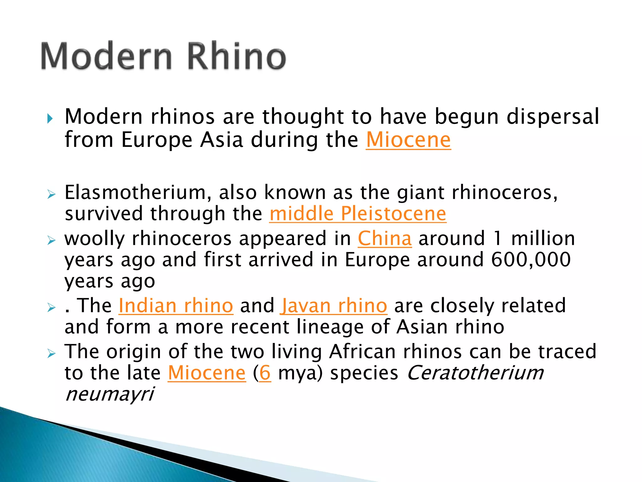 Rhinoceros | PPTX