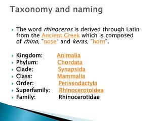Rhinoceros | PPTX