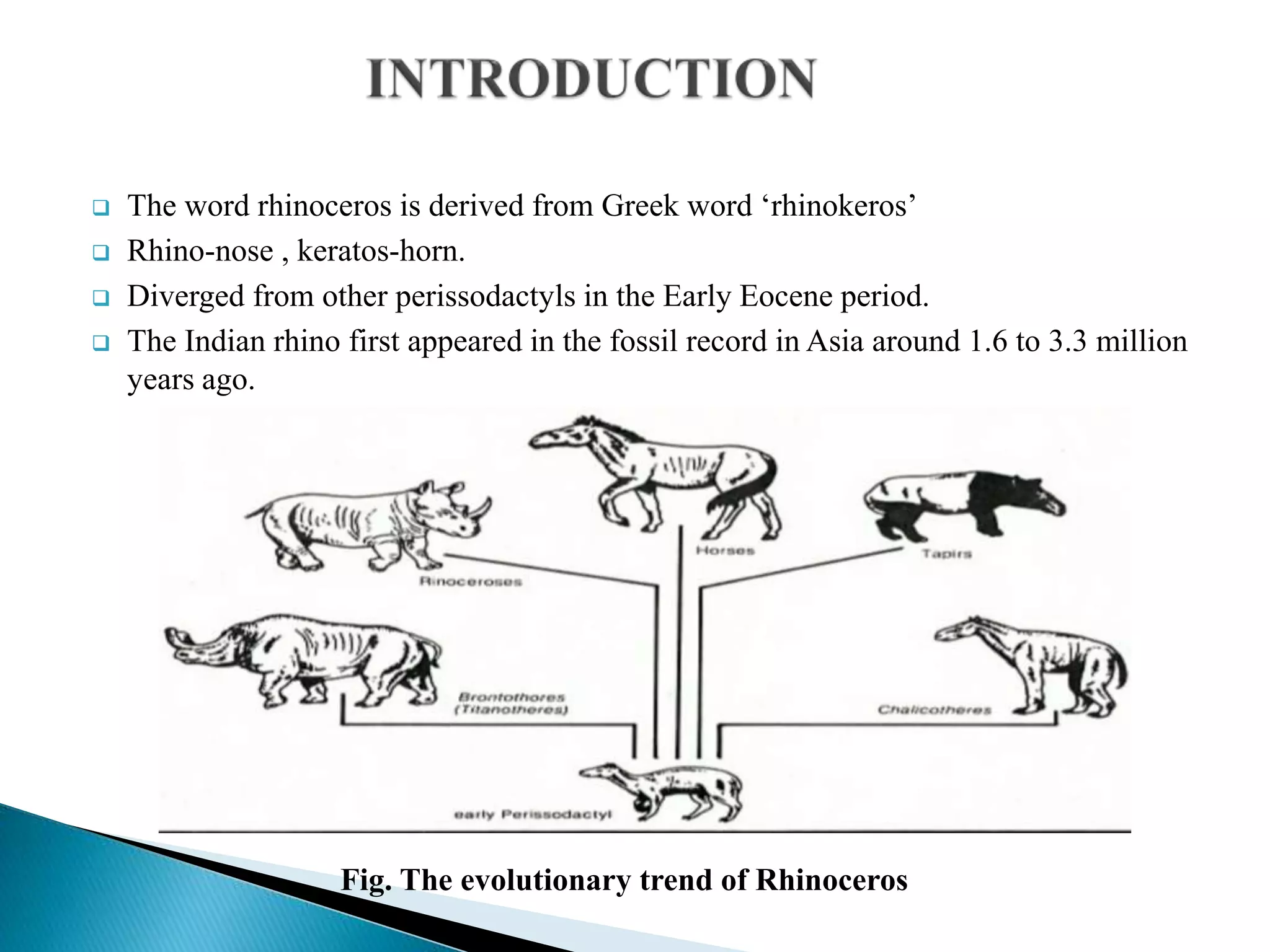Presentation on Habit, Habitat, and Ethology of Rhinoceros unicornis | PPTX