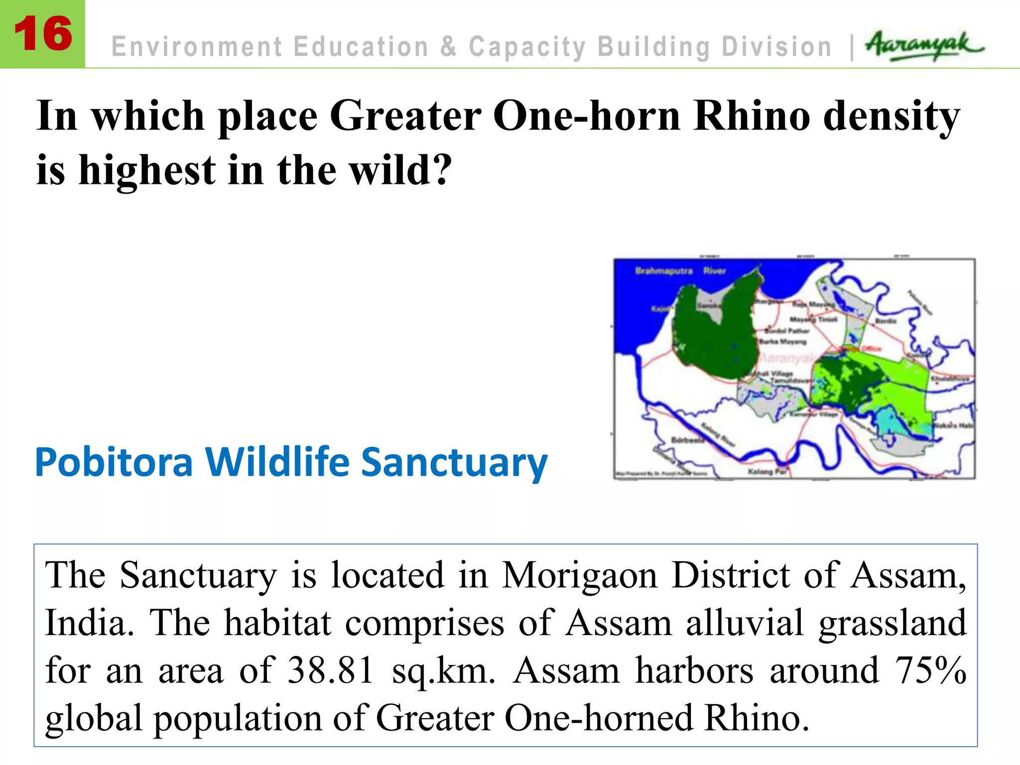 Rhino | PPTX