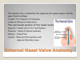 Rhinoplasty (Nose Anatomy) | PPTX