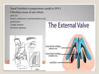 Rhinoplasty (Nose Anatomy) | PPTX