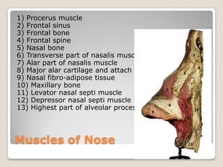 Rhinoplasty (Nose Anatomy) | PPTX