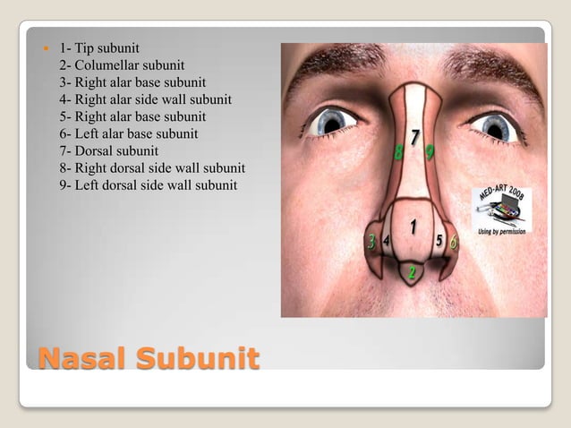 Rhinoplasty (Nose Anatomy) | PPT