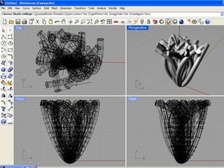 Rhino script 101 creativity | PPTX | 3-D Graphics | Computer Software ...
