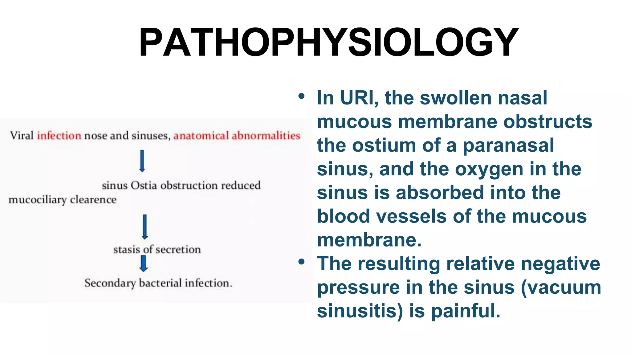 RHINOSINUSITIS | PPTX