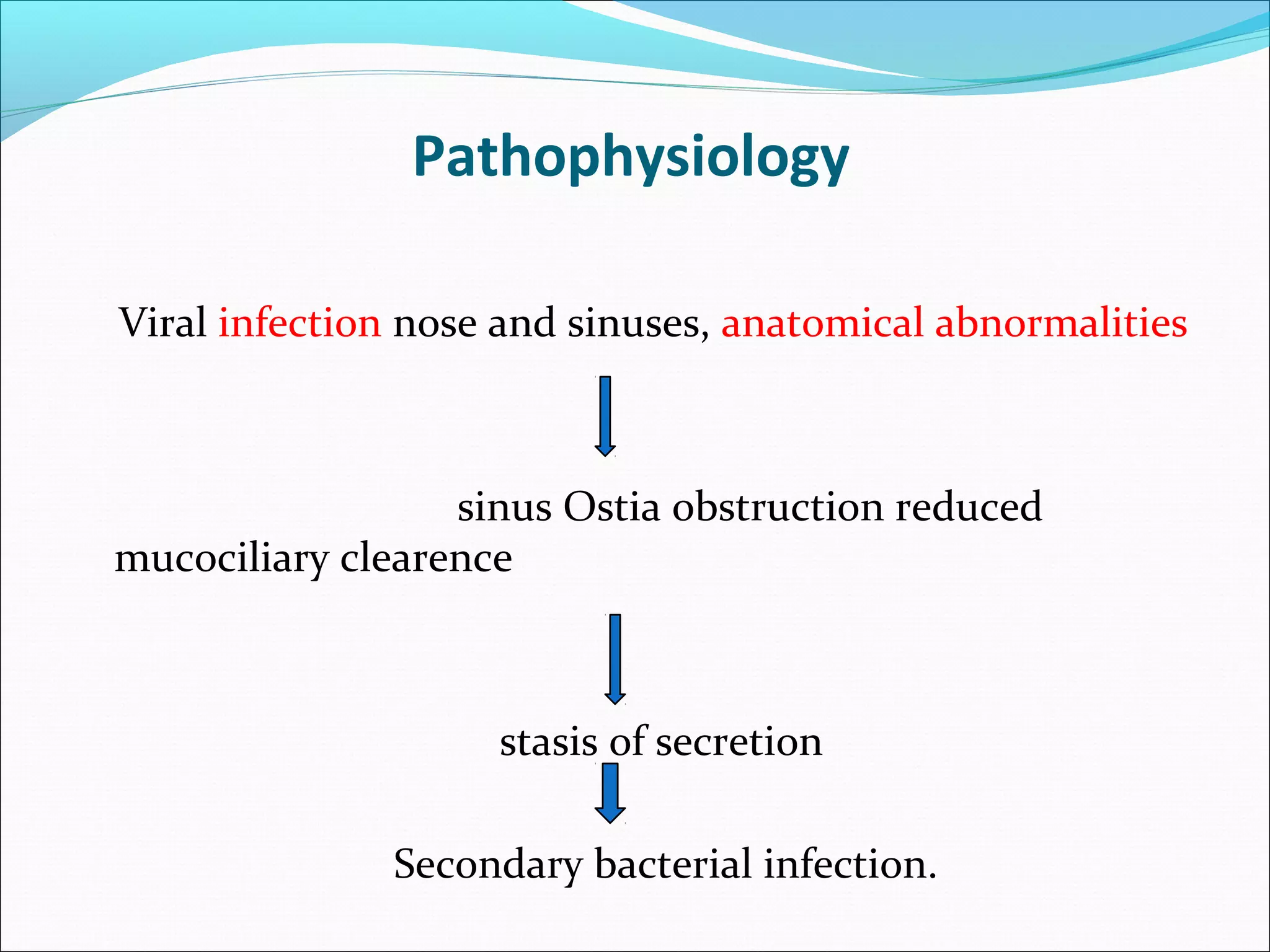 Rhinosinusitis | PPT