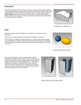 Rhino v5 (level 1) | PDF