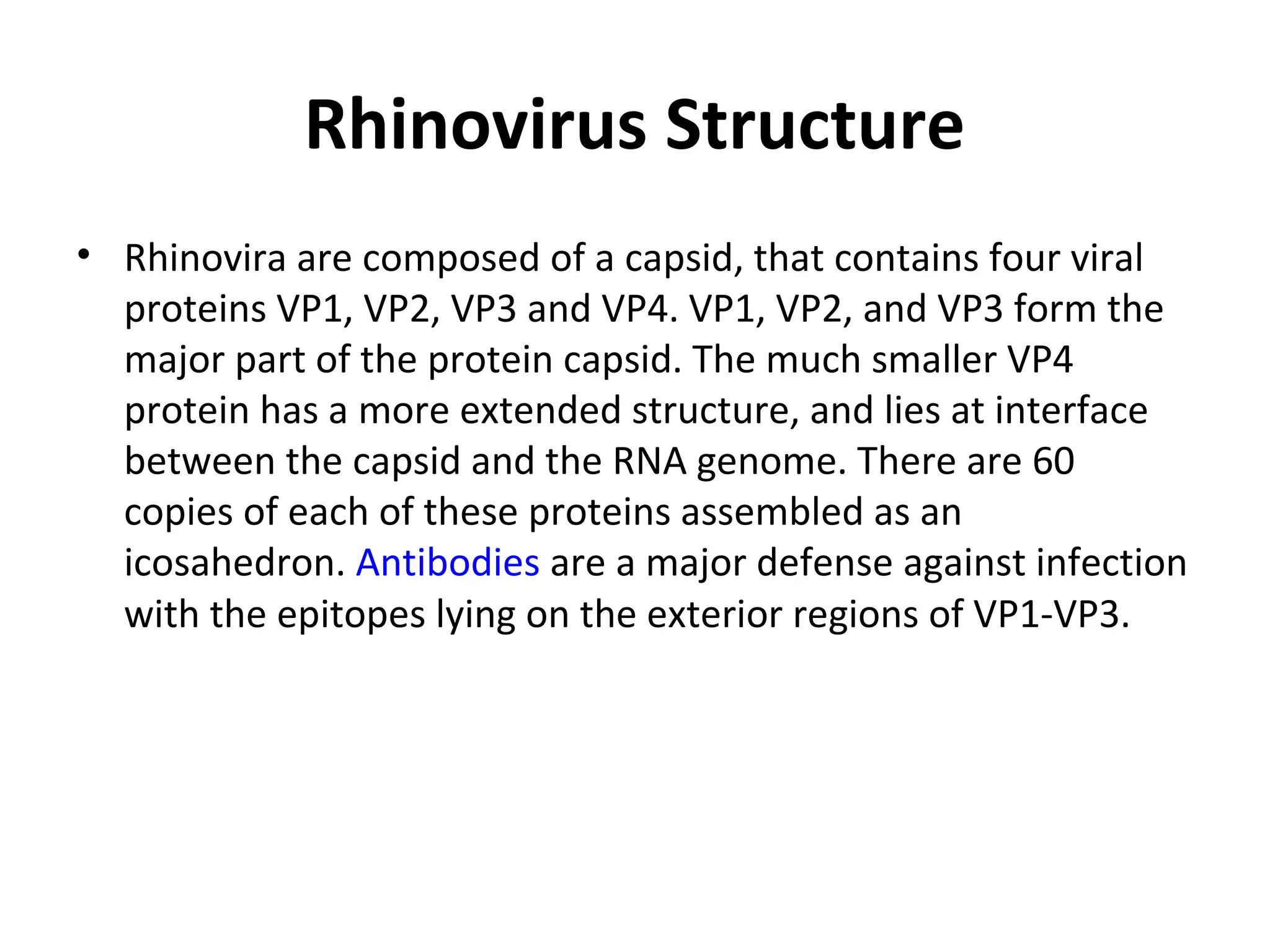 Rhinovirus | PPT