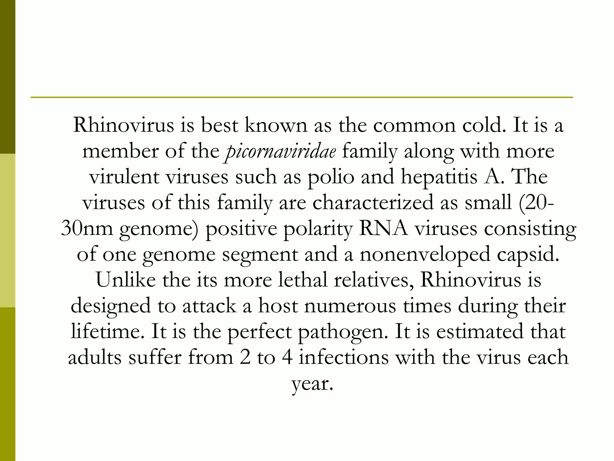Rhinovirus | PPT