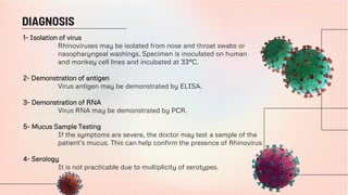 Rhinovirus The Common Cold Culprit a.k.a sniffle virus | PDF