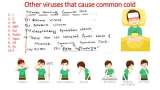 Rhino virus notes | PDF