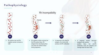 RH ISO IMMUNISATION.pptx 2.pptx