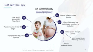 RH ISO IMMUNISATION.pptx 2.pptx