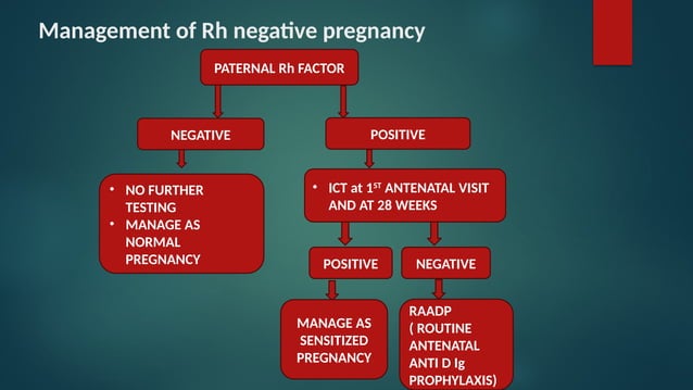 Rh isoimmunisation and its complication ppt.pptx