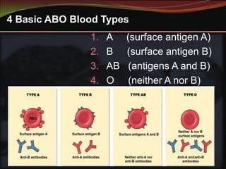 Rh isoimmunization for 4th year Med.Students | PDF
