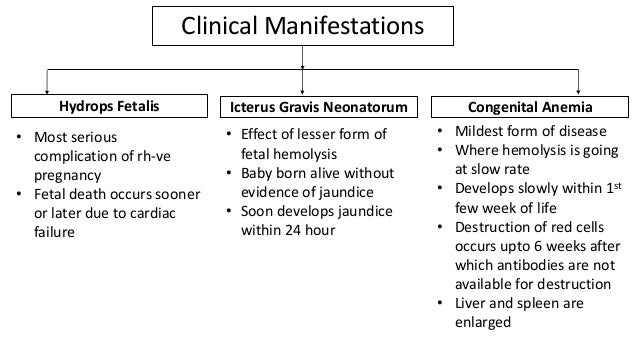 Rh isoimmunization