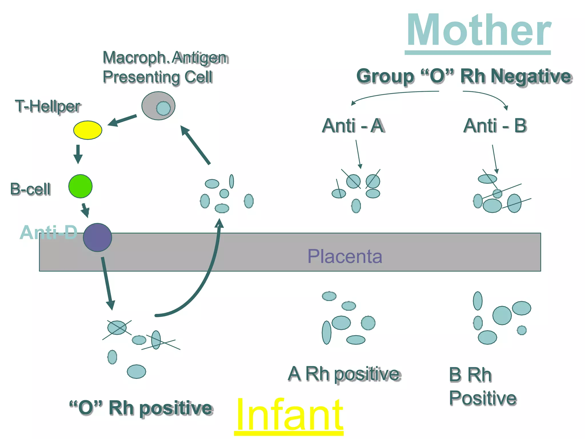 Rh isoimmunization | PPTX