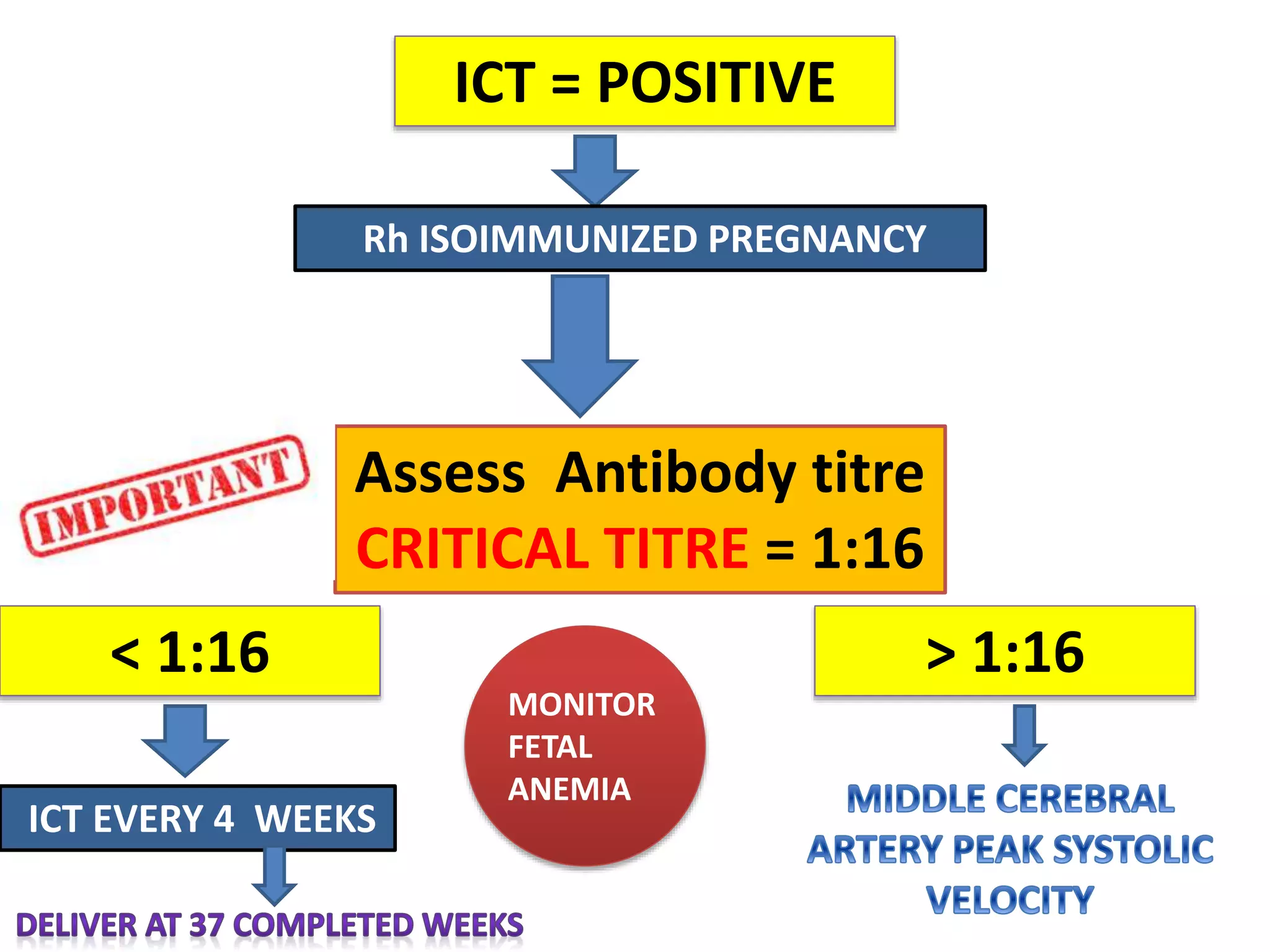 Rh isoimmunization | PPTX