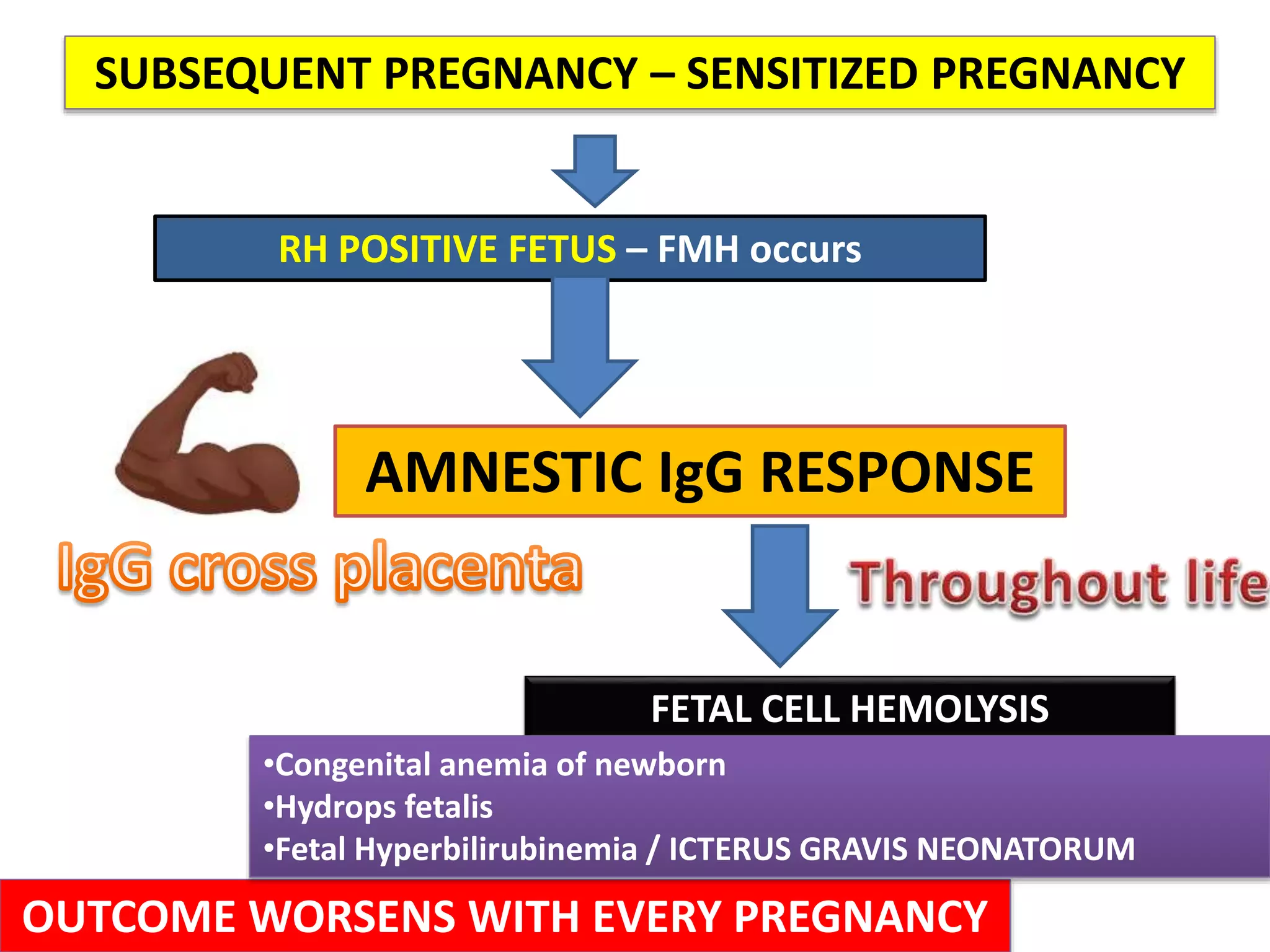 Rh isoimmunization | PPTX