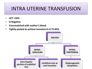 Rh isoimmunization | PPTX