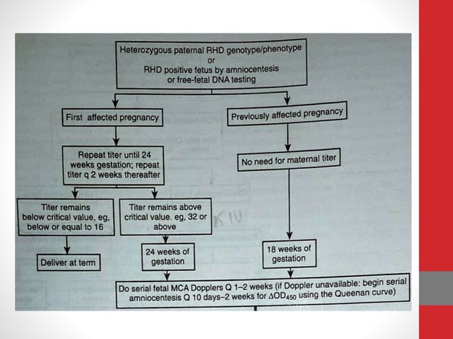rh isoimmunization my.pptx
