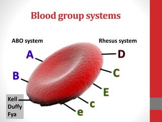 rh isoimmunization my.pptx