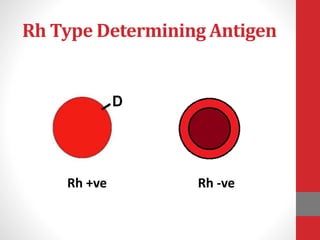rh isoimmunization my.pptx