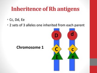 rh isoimmunization my.pptx