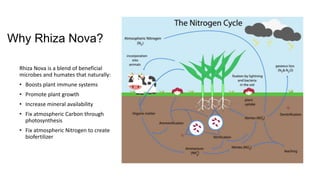 Rhiza Nova | PPTX | Agriculture | Industries