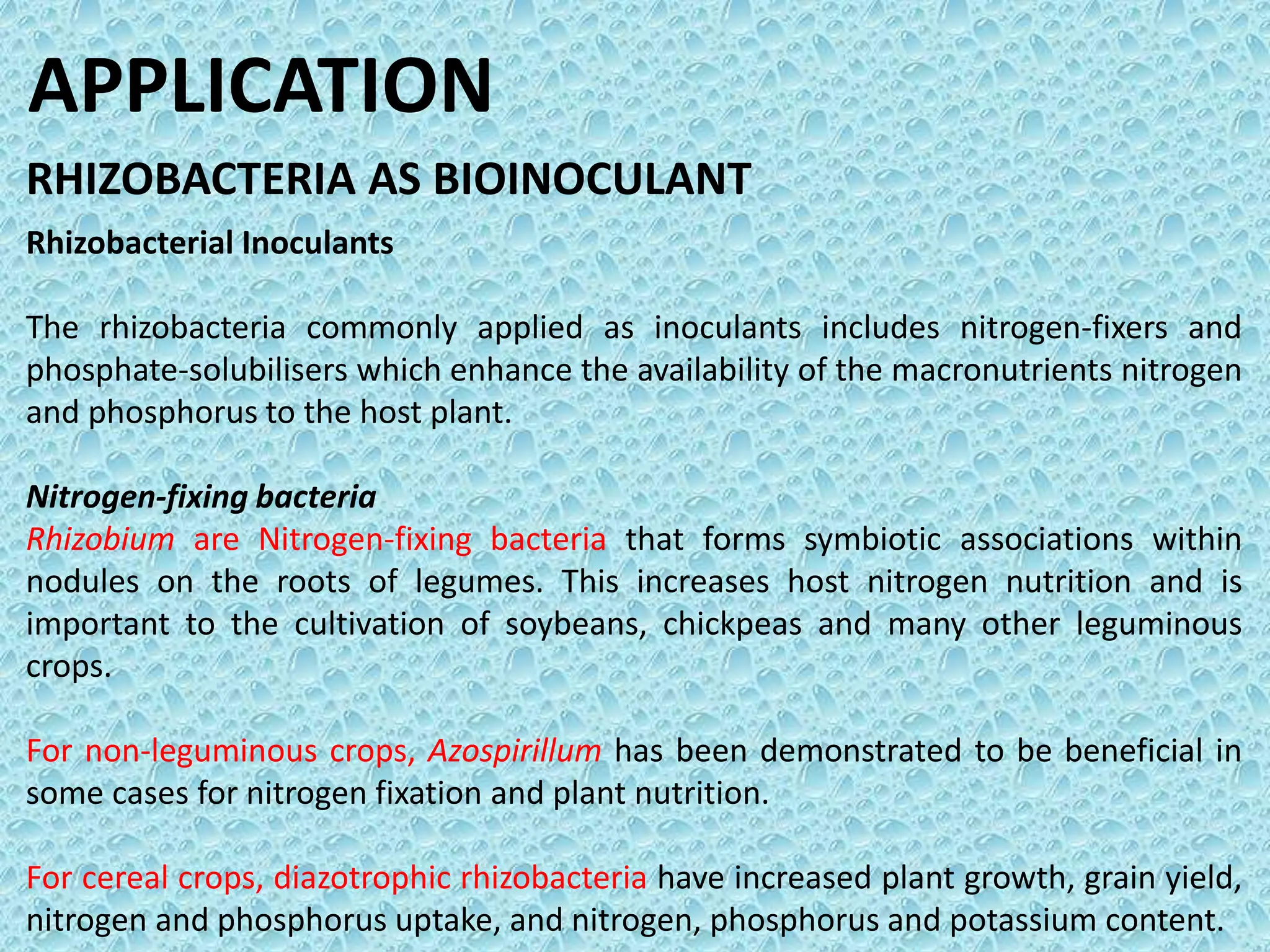 Rhizobacteria_and_their_Application.pptx
