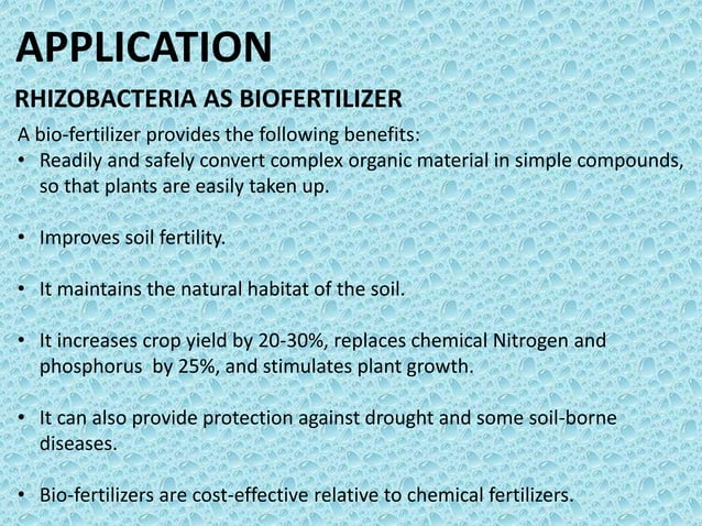 Rhizobacteria_and_their_Application.pptx