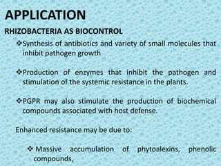 Rhizobacteria_and_their_Application.pptx