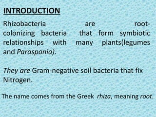 Rhizobacteria_and_their_Application.pptx