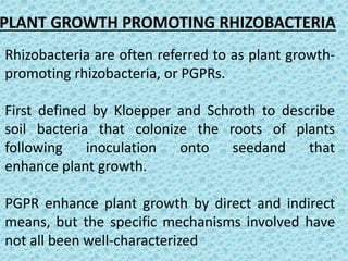 Rhizobacteria_and_their_Application.pptx