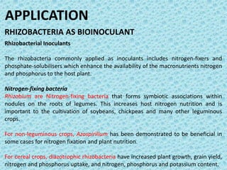 Rhizobacteria_and_their_Application.pptx