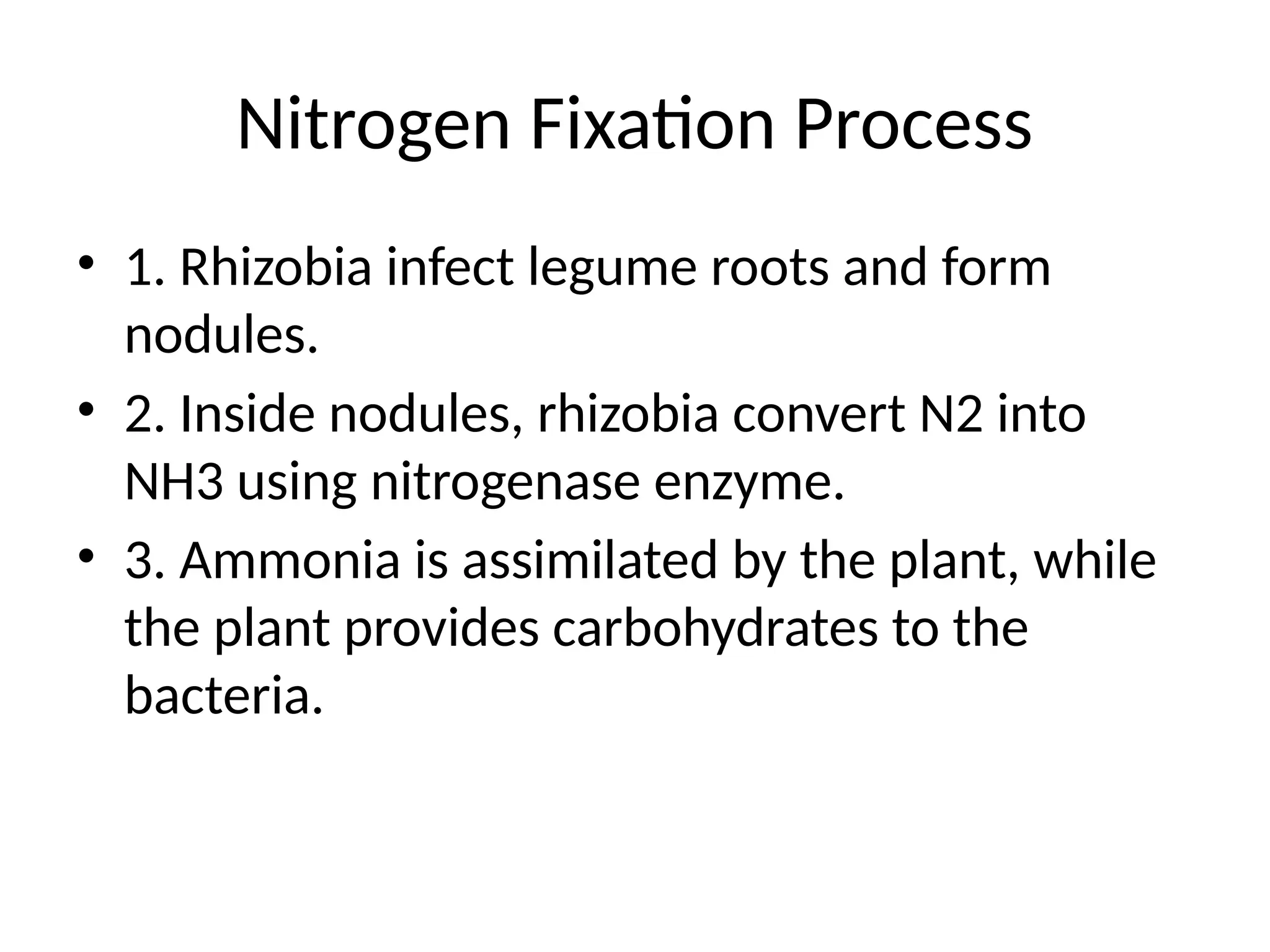 Rhizobia_bacteria_presentation______pptx | PPTX