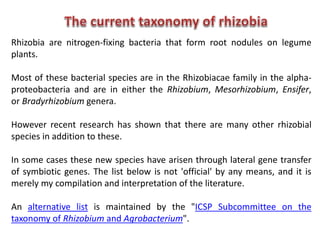 Rhizobium | PPTX