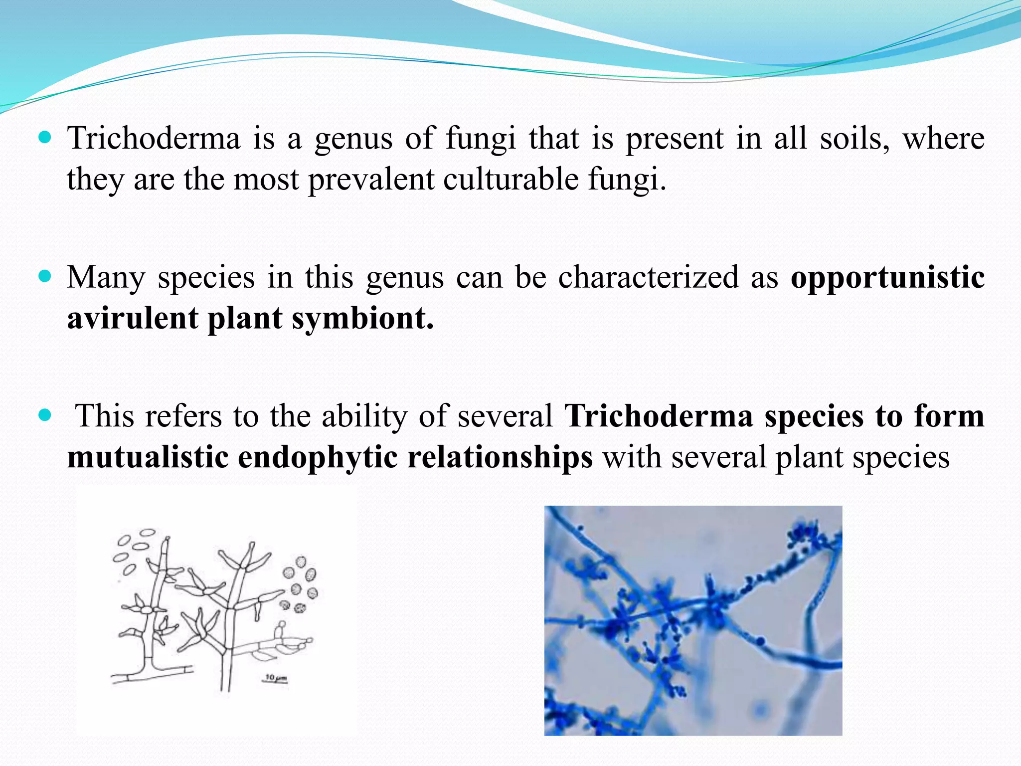 AgricultureMicrobiology: Rhizobium Trichoderma Biodegradation of Xenobiotics Biodegradation of ...