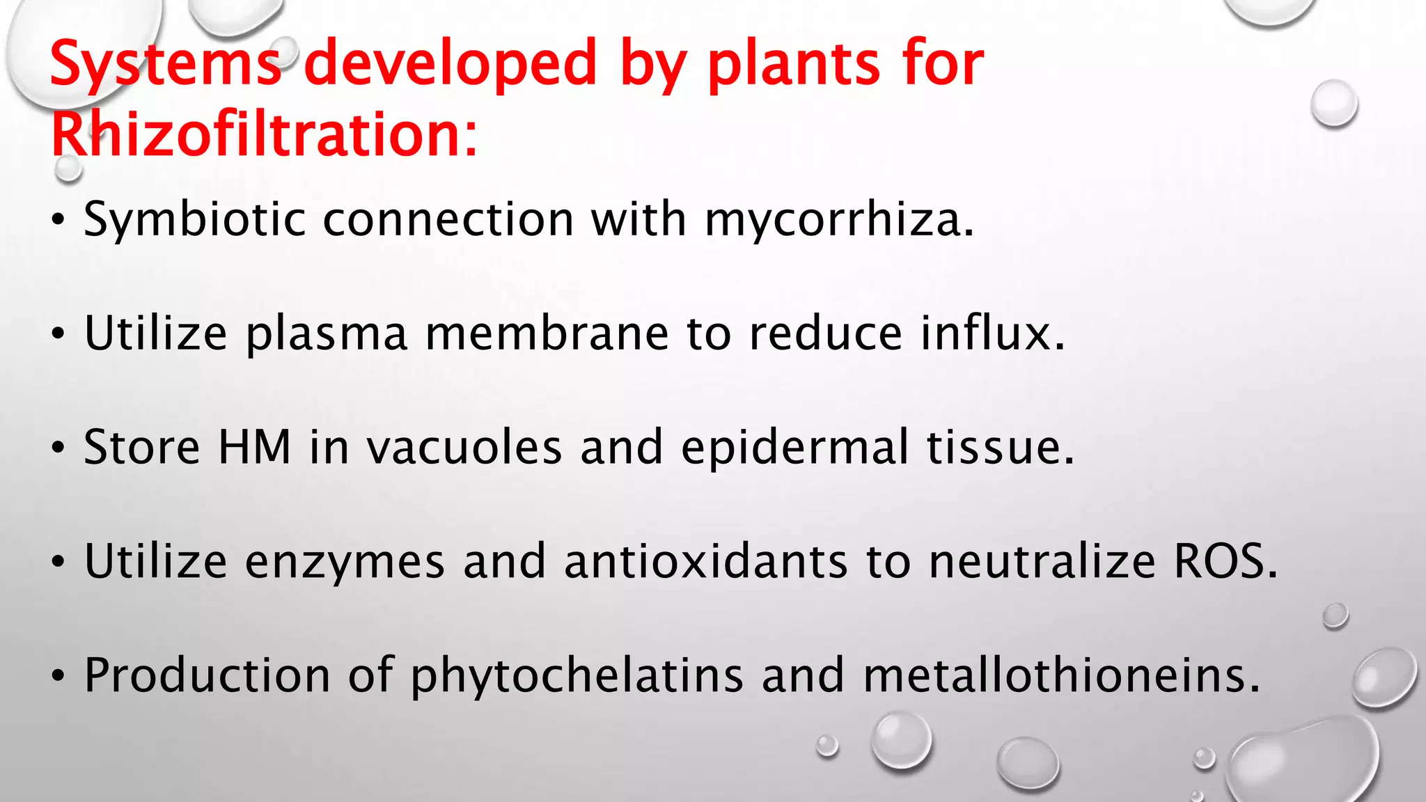 Rhizofiltration in Groundwater Remediation.pptx