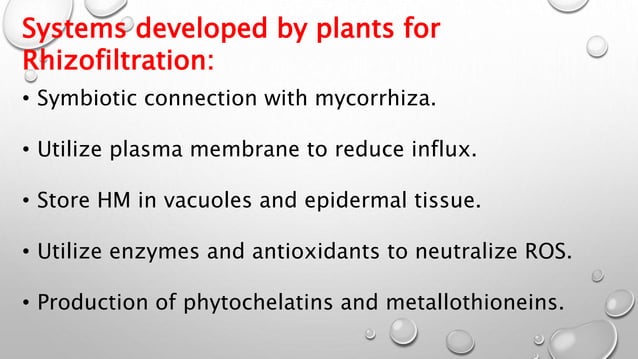 Rhizofiltration in Groundwater Remediation.pptx | Gardening | Home & Garden