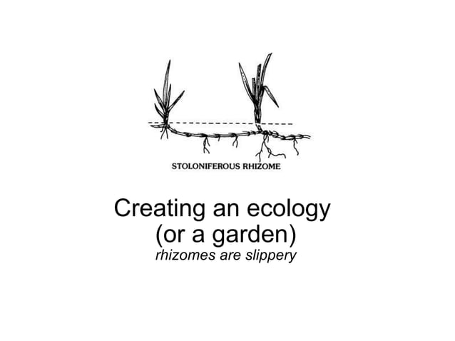 Rhizomatic learning - Why do we teach? | PPT | Education