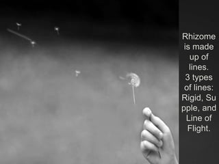 Rhizomatic Learning | PPTX