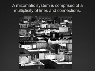 Rhizomatic Learning | PPTX