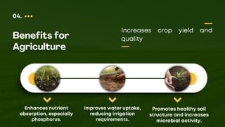 Shop Mycorrhizal Inoculants for Plants – Enhance Soil Health & Crop ...